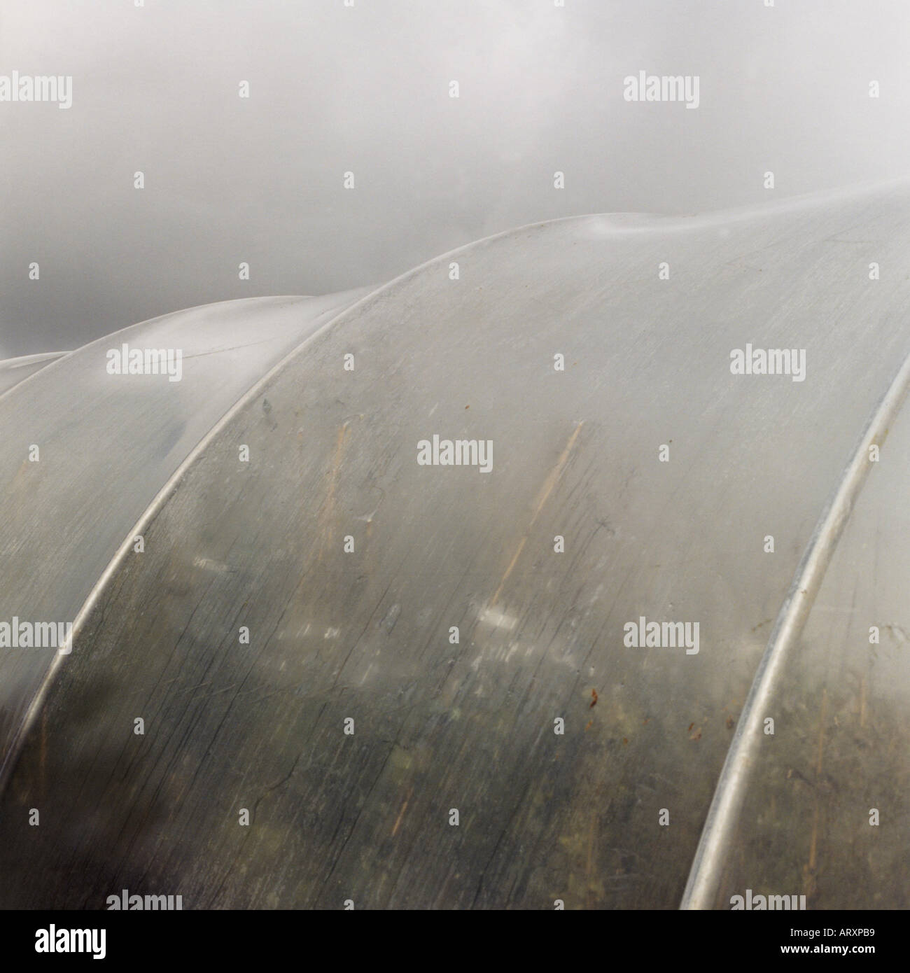 Modern polytunnel hi-res stock photography and images - Alamy