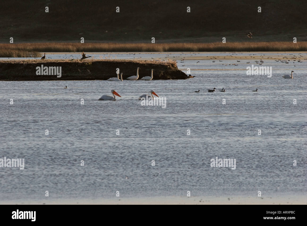 Eyebrow lake hi-res stock photography and images - Alamy