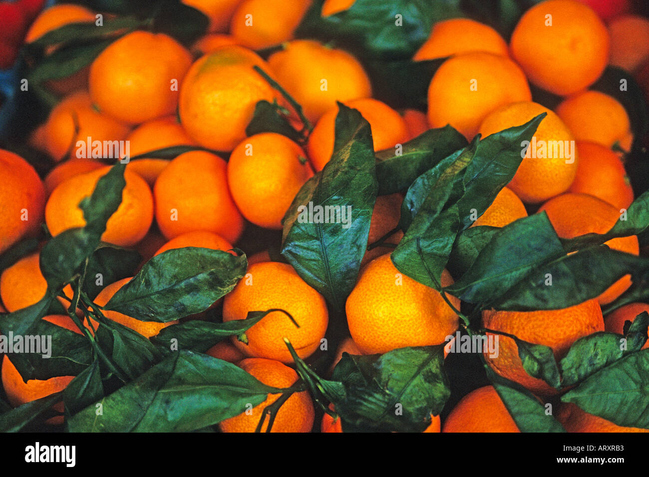 Oranges at the market Stock Photo - Alamy