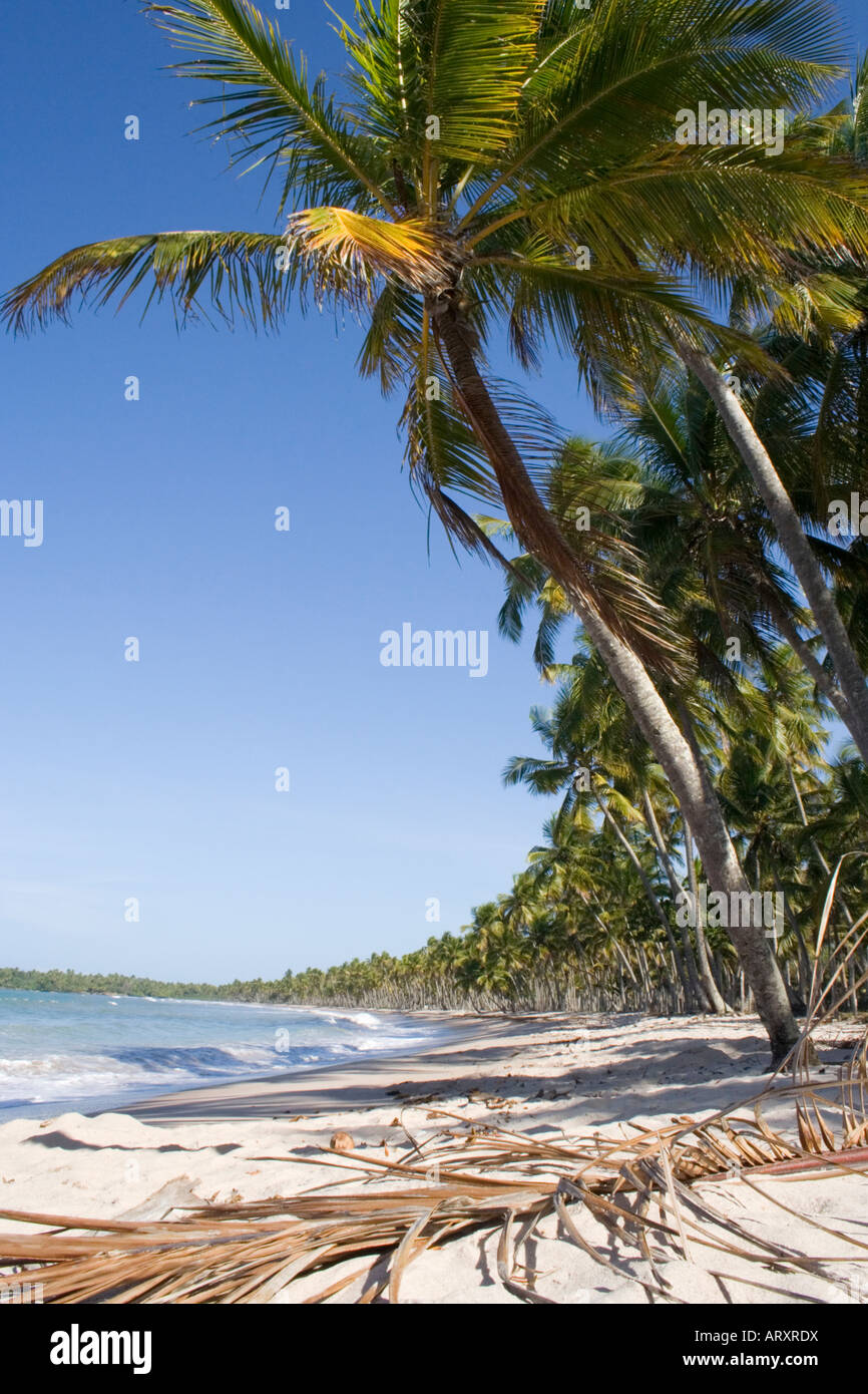 A deserted sunny beach and palm trees, Boipeba Island, Bahia State ...