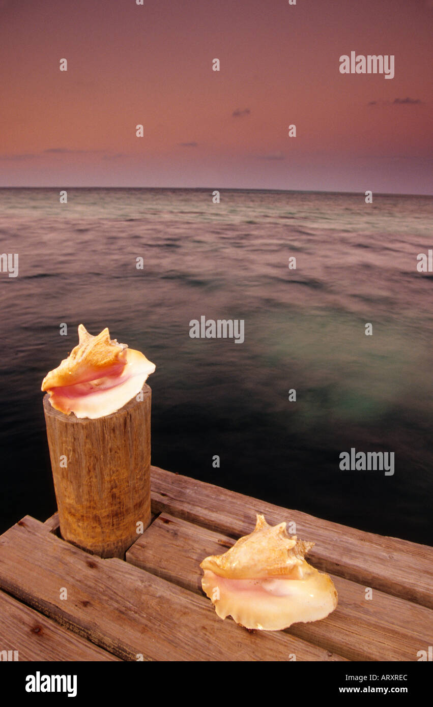 Tobacco caye belize hi-res stock photography and images - Alamy