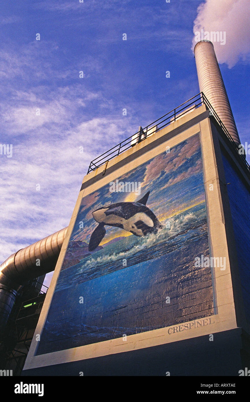 Mural on building side, Seattle Stock Photo - Alamy