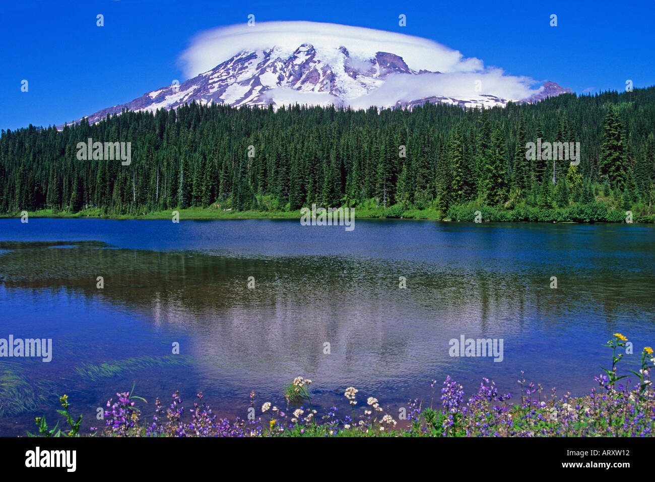 Mount Rainier in reflection, Reflection Lake, Mount Rainier National ...