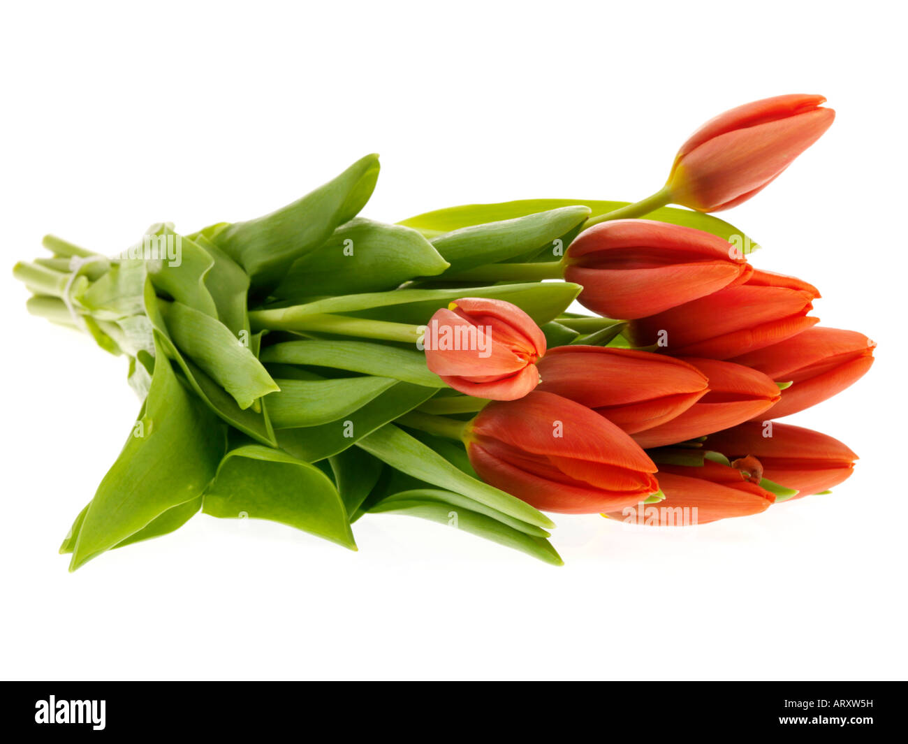 Bunch Of Tulips Stock Photo - Alamy