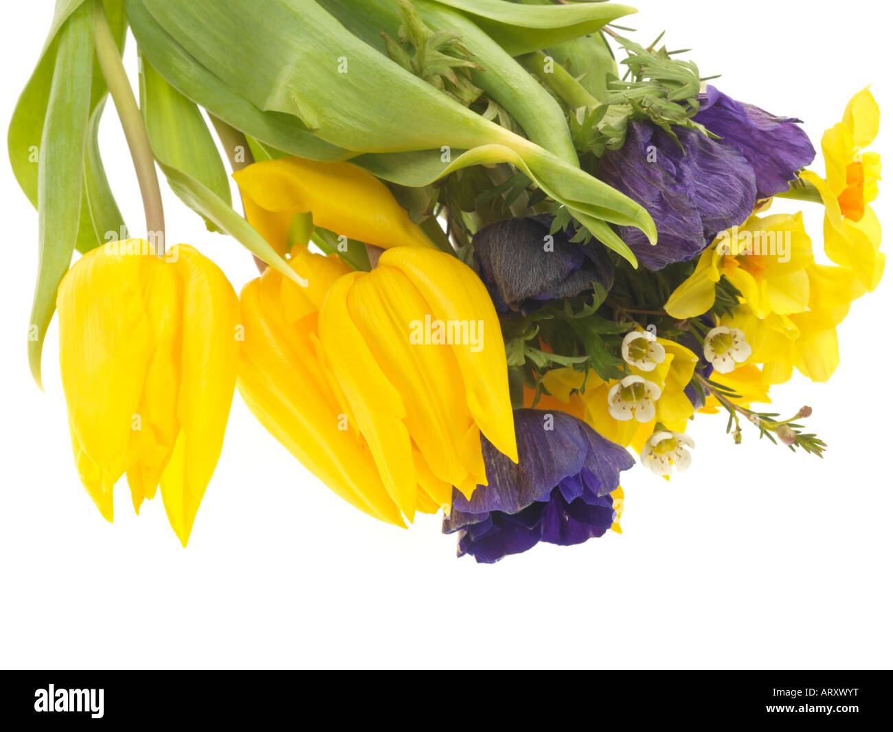 Bunch of Spring Flowers Stock Photo - Alamy