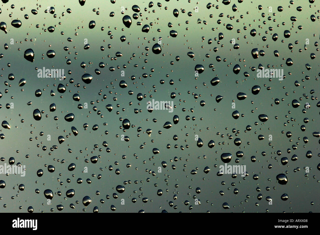 Raindrops On A Glass Window Stock Photo - Alamy