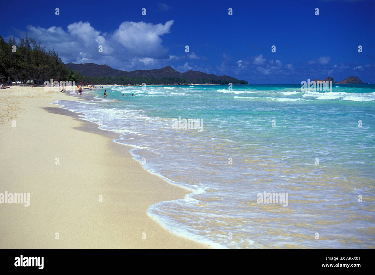 Bellows Beach High Resolution Stock Photography and Images - Alamy