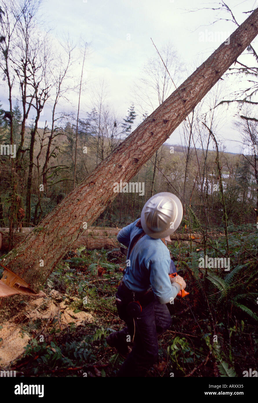 Fallin log hi-res stock photography and images - Alamy