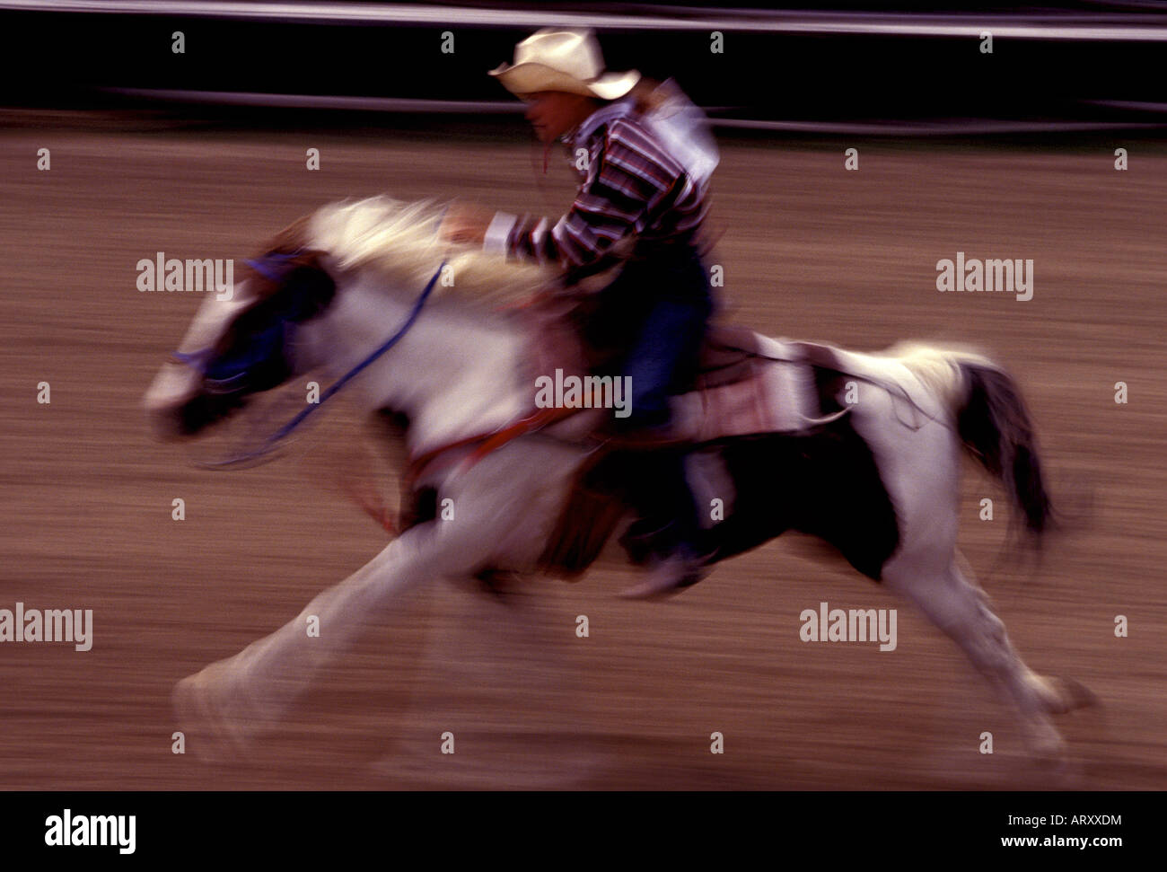 Paniolo waimea hi-res stock photography and images - Alamy