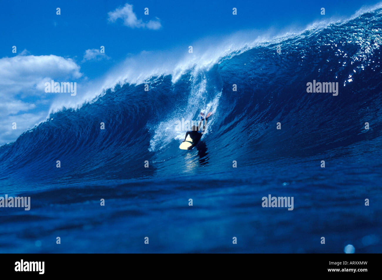 Body boarding in the beautiful blue waters of Oahu Stock Photo - Alamy