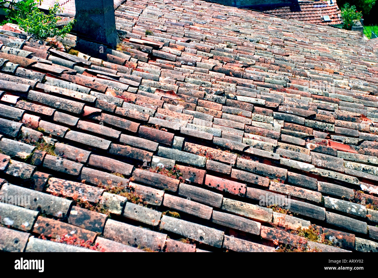 traditional roof of southern france Stock Photo - Alamy