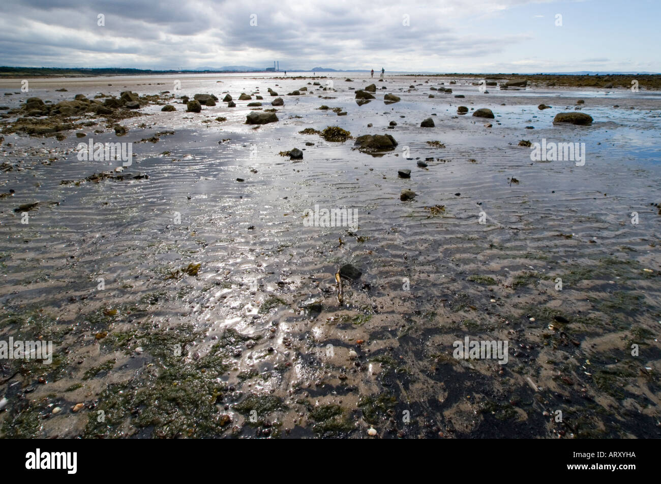 Niddry Beach or Niddry Bents shore East Lothian Scotland looking out ...