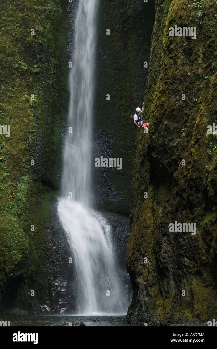 Climber descending Oneonta Falls, Oneonta Gorge, Columbia River Gorge ...