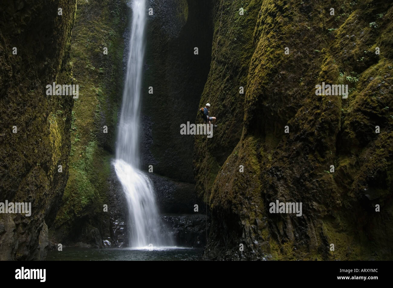Climber descending Oneonta Falls, Oneonta Gorge, Columbia River Gorge ...