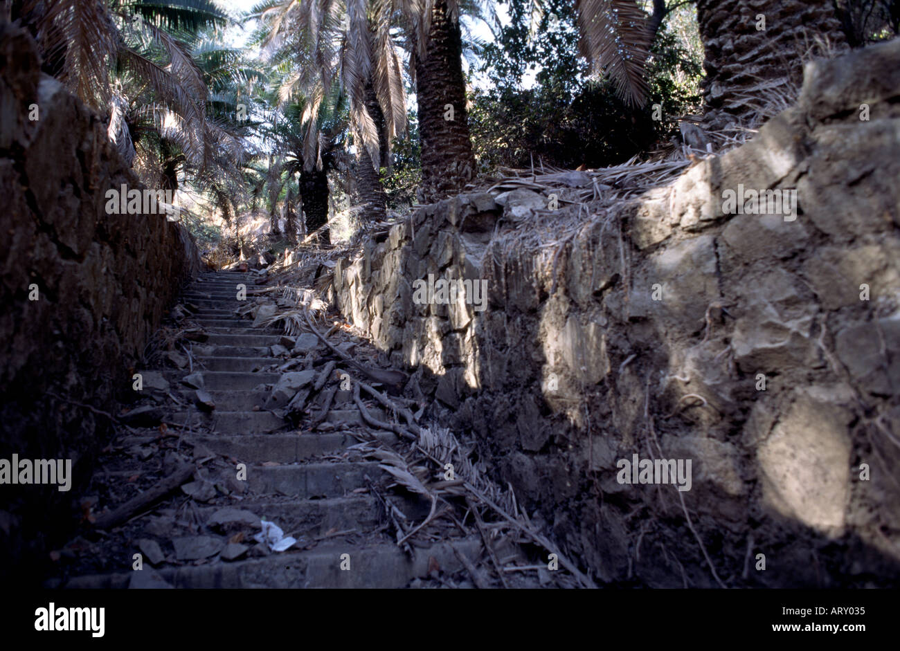 catalina island steps Stock Photo - Alamy