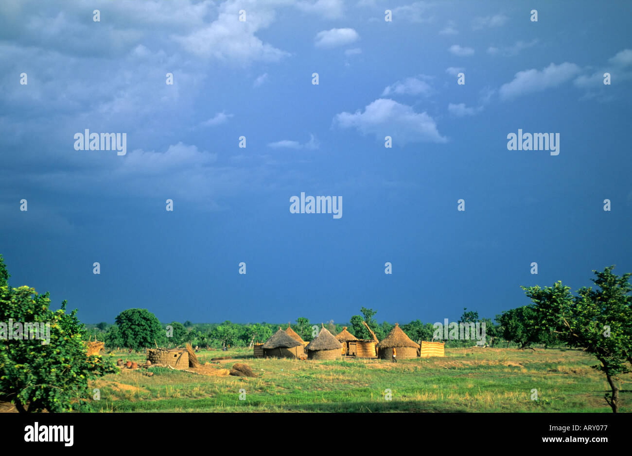 Garoua hi-res stock photography and images - Alamy