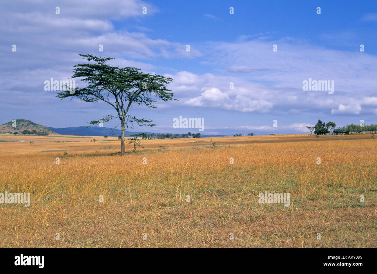 Nyahururu hi-res stock photography and images - Alamy