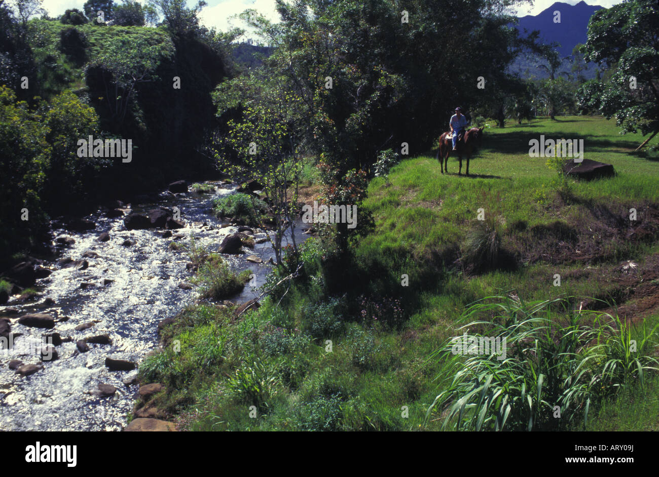 Silver Falls Ranch at Kalihiwai with horseback rider near flowing ...
