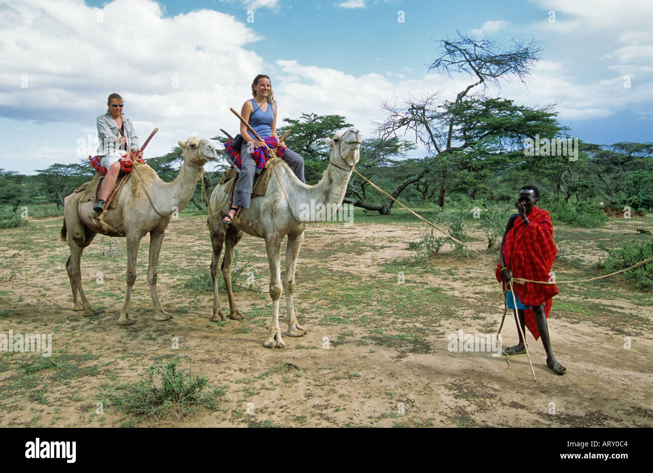 Tourist camel trek with the Samburu, near Maralal, Kenya Stock Photo ...