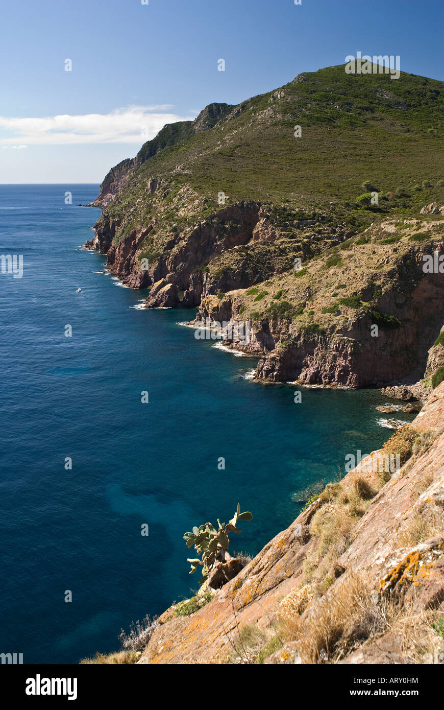 Belvedere Cape, Coast of Capraia Island, Tuscany, Italy Stock Photo - Alamy