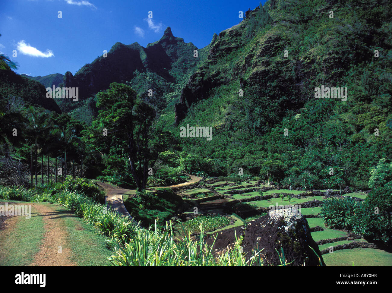 Limahuli gardens at the National Tropical Botanical Gardens, Kauai ...