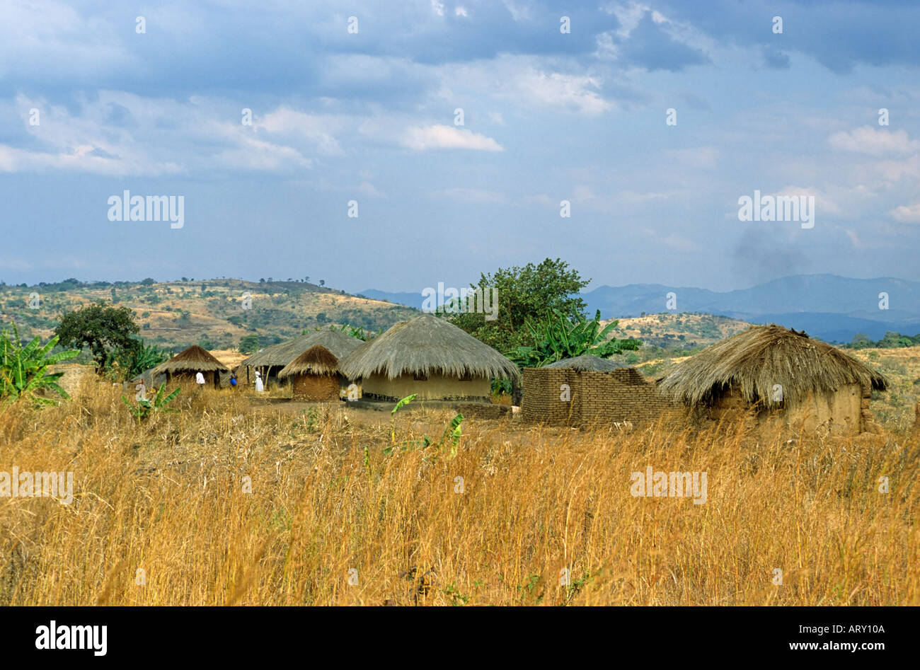 Village, Southern Malawi, Malawi Stock Photo - Alamy