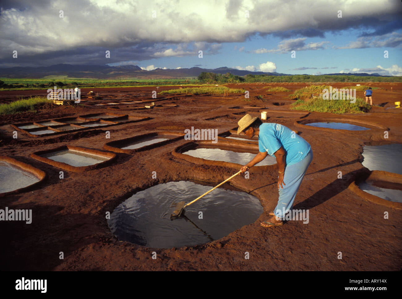 Hanapepe Salt Ponds, south Kauai, where salt is made in traditional way ...
