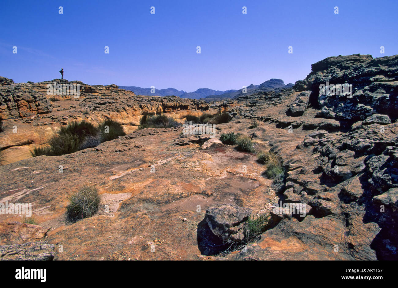 Hiking in Cederberg Wilderness Area, South Africa Stock Photo - Alamy