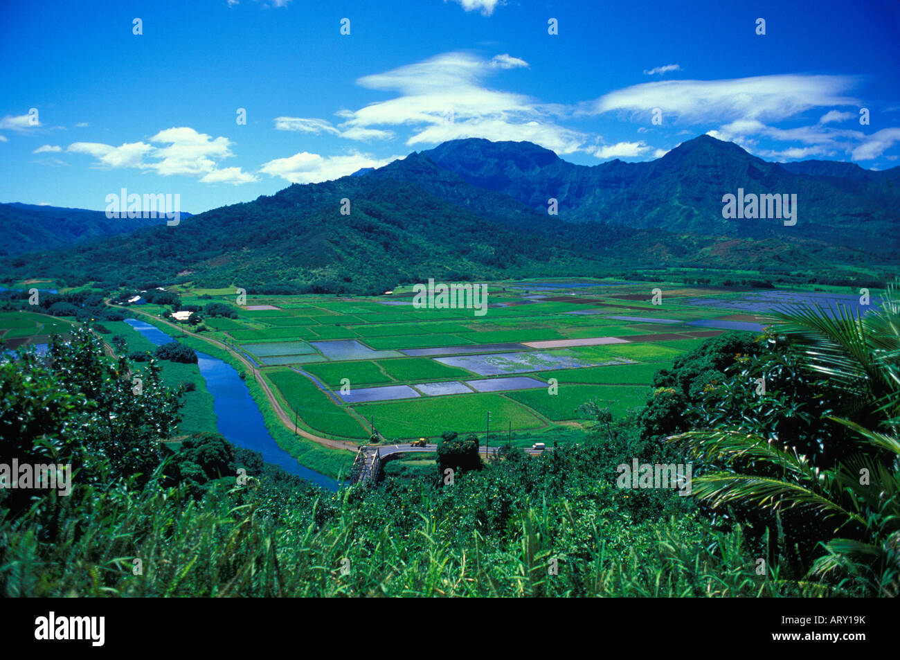 Hanalei Valley taro fields and Hanalei River from overlook, Hanalei ...