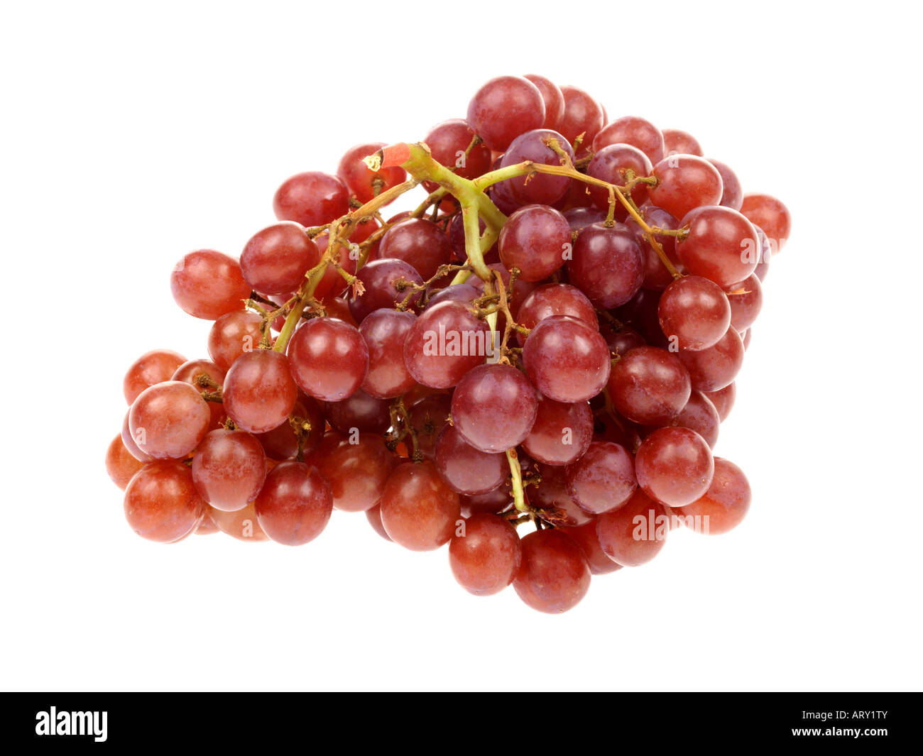 Bunch of Grapes Stock Photo - Alamy