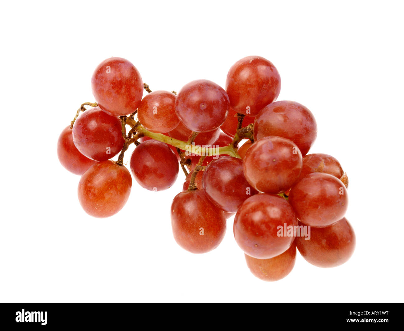 Bunch of Grapes Stock Photo - Alamy