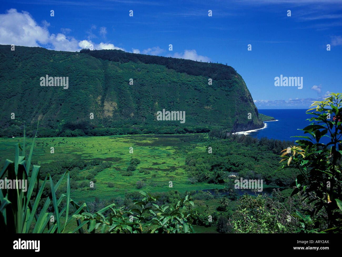 Waipio valley road, hawaii hi-res stock photography and images - Alamy