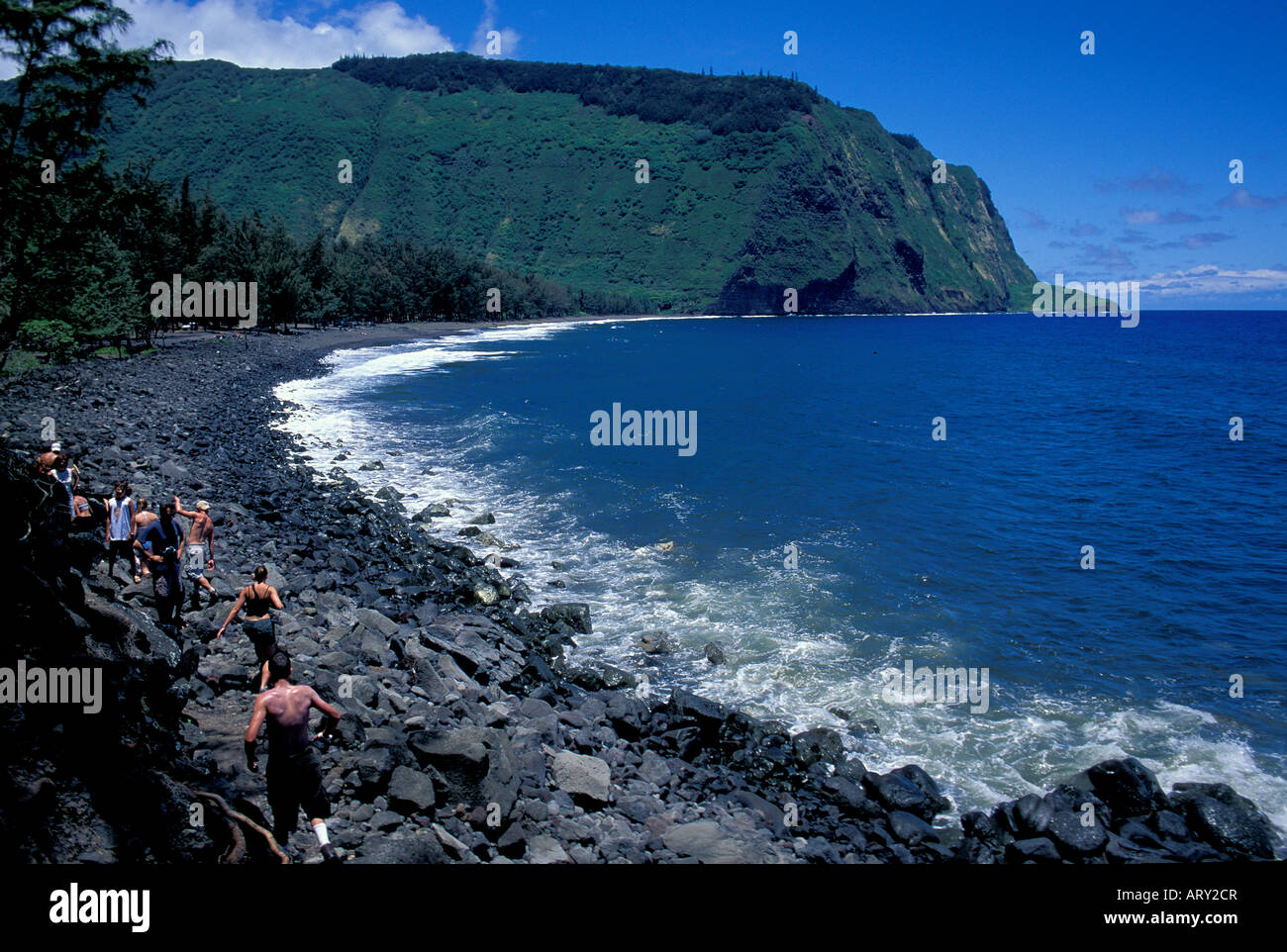 At the black-sand beach at Waipio, visitors coming back from a ...