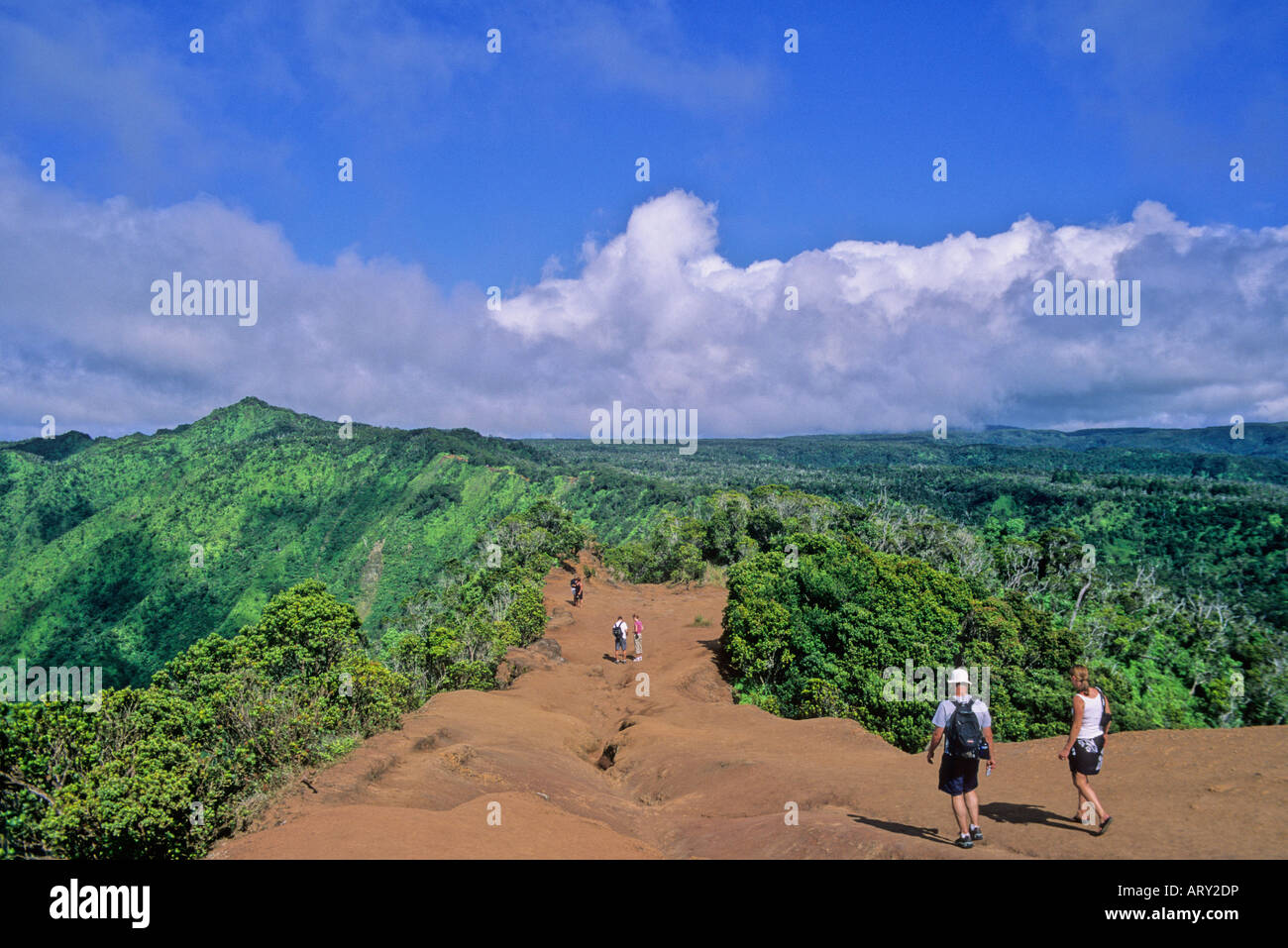 Vacationers explore the Pihea Trail in Kokee State Park Stock Photo - Alamy