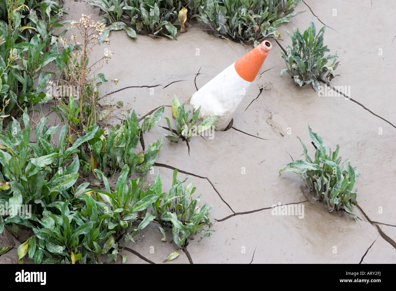 Sinking in quicksand hi-res stock photography and images - Alamy