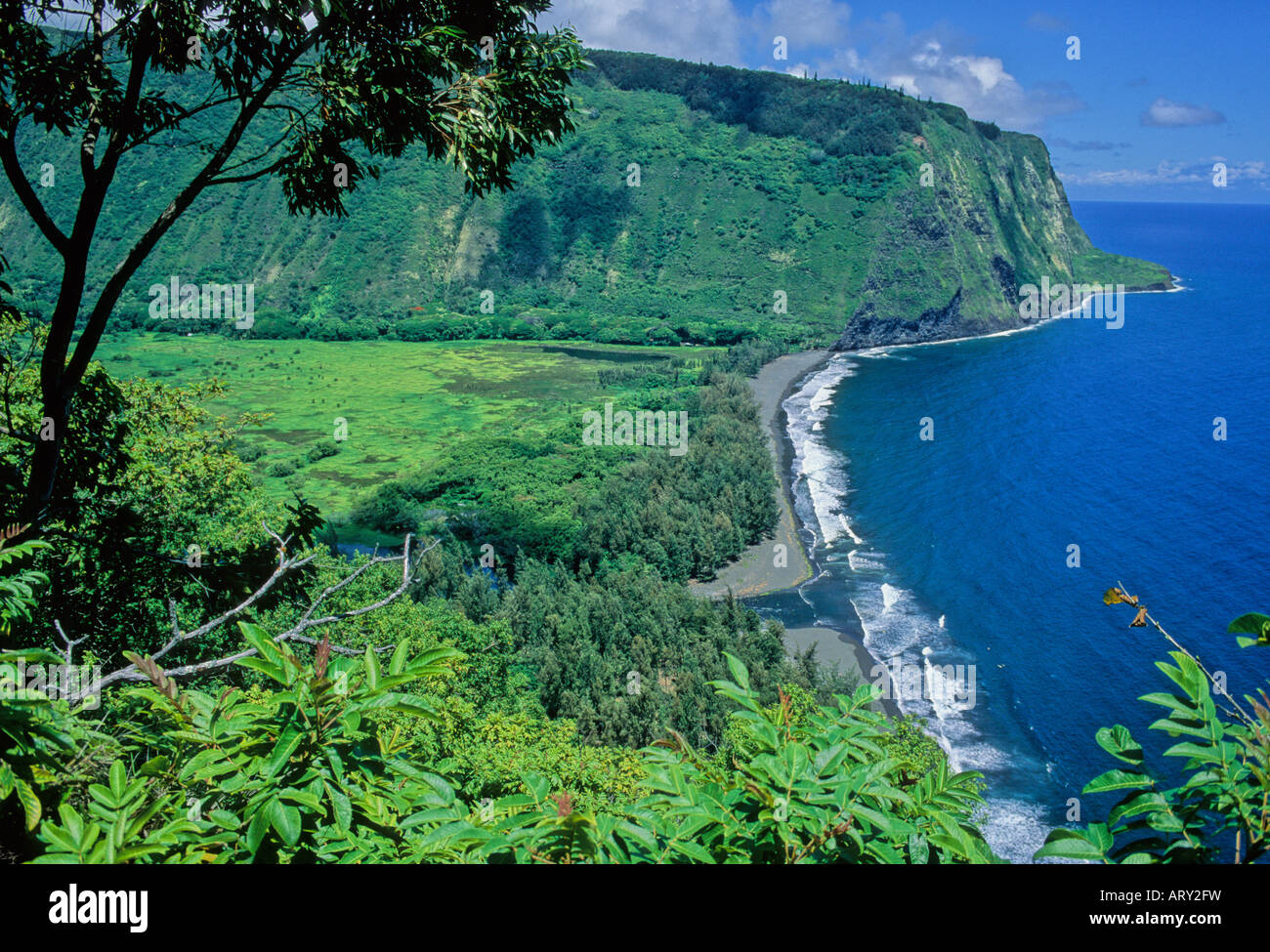 Black sand beach hawaii aerial hi-res stock photography and images - Alamy