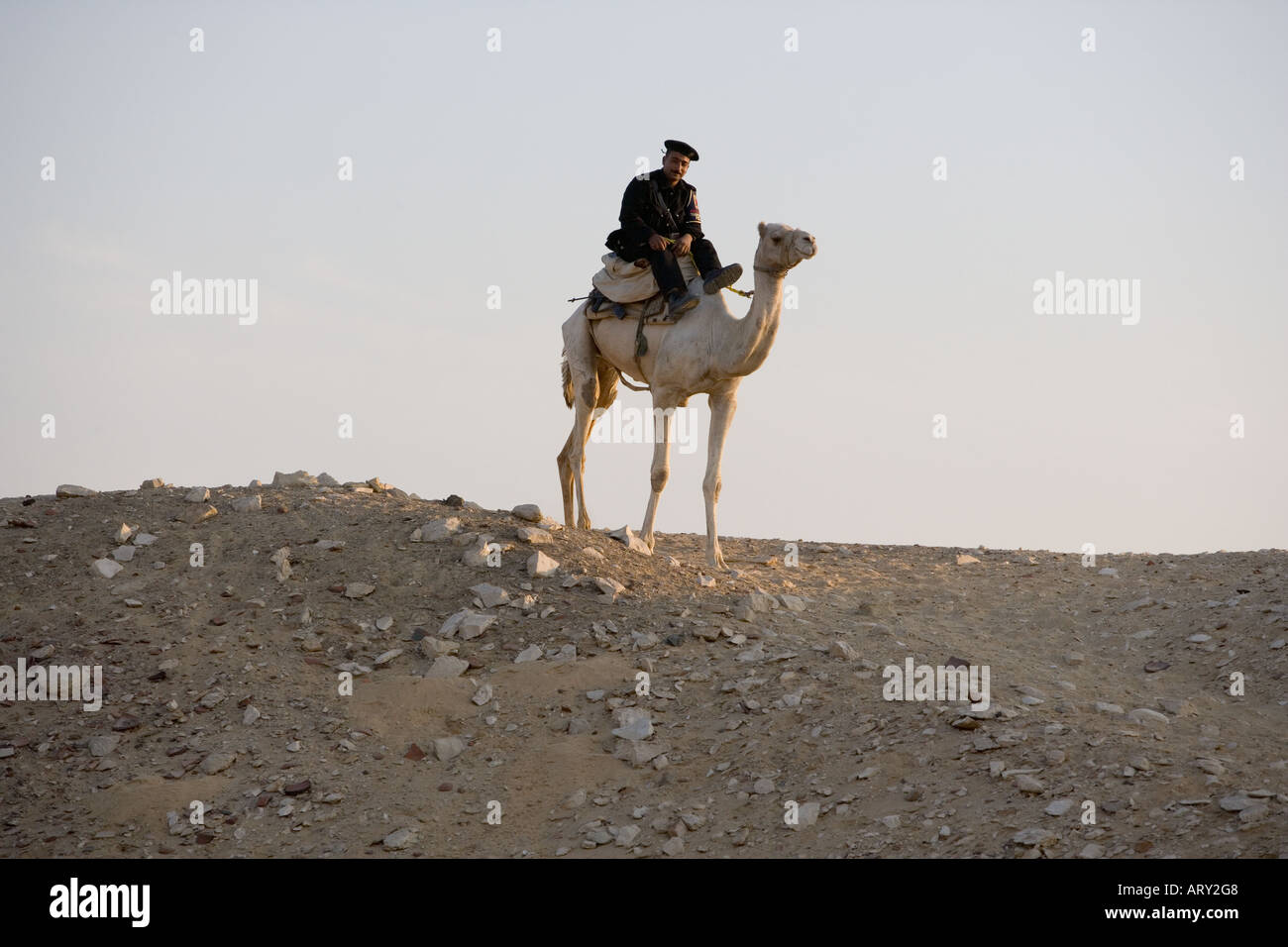 Desert police camel patrol hi-res stock photography and images - Alamy