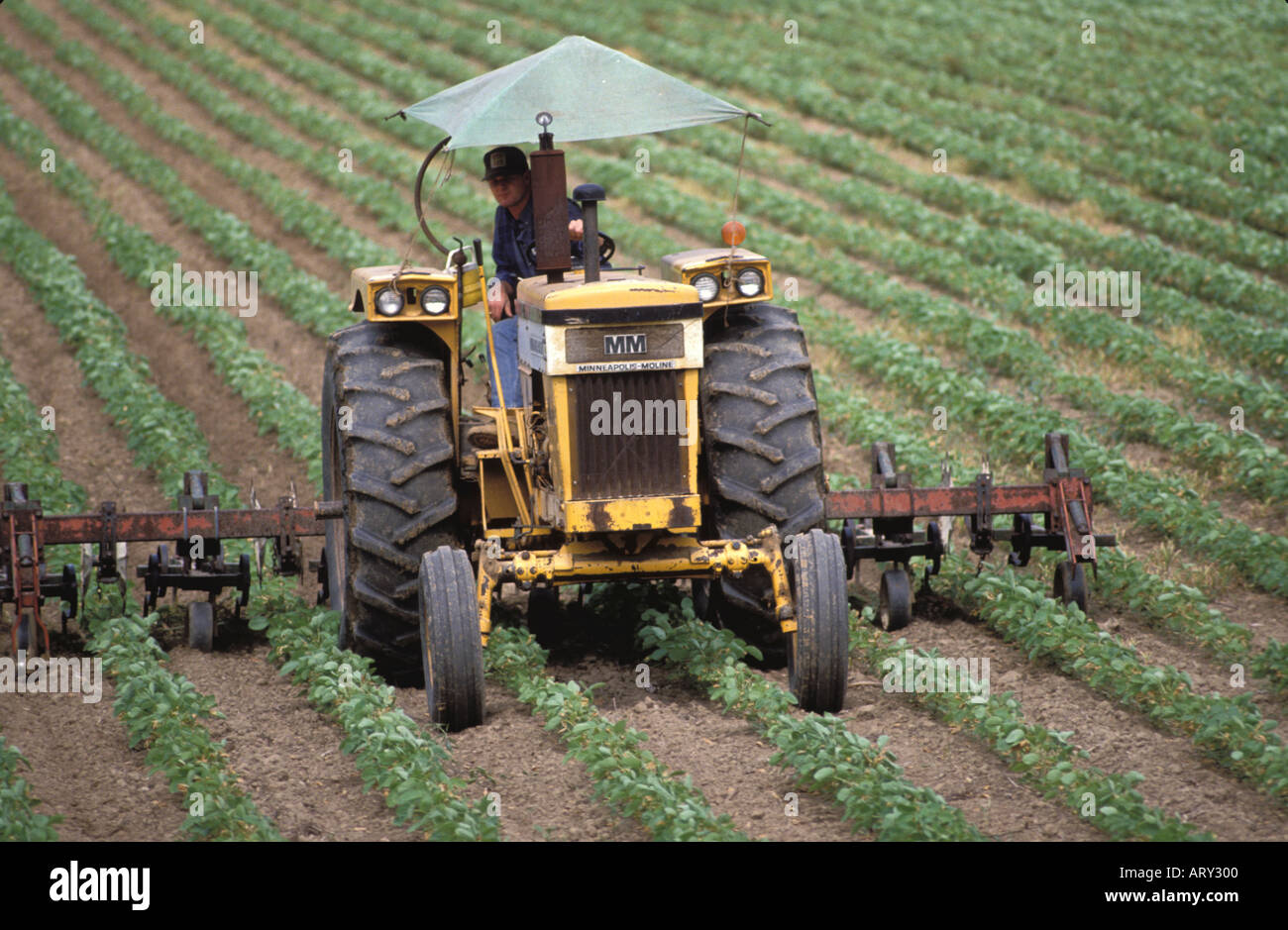 Truck farming hi-res stock photography and images - Alamy