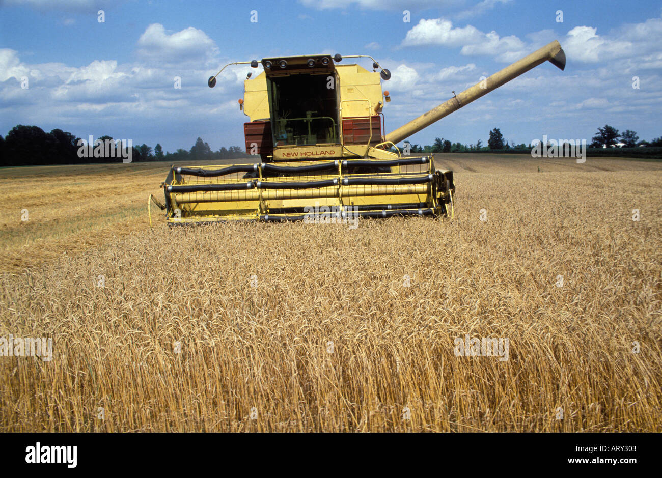 Michigan wheat harvest Stock Photo - Alamy