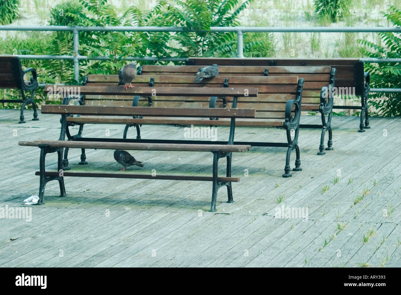 Bench beach new jersey hi-res stock photography and images - Alamy