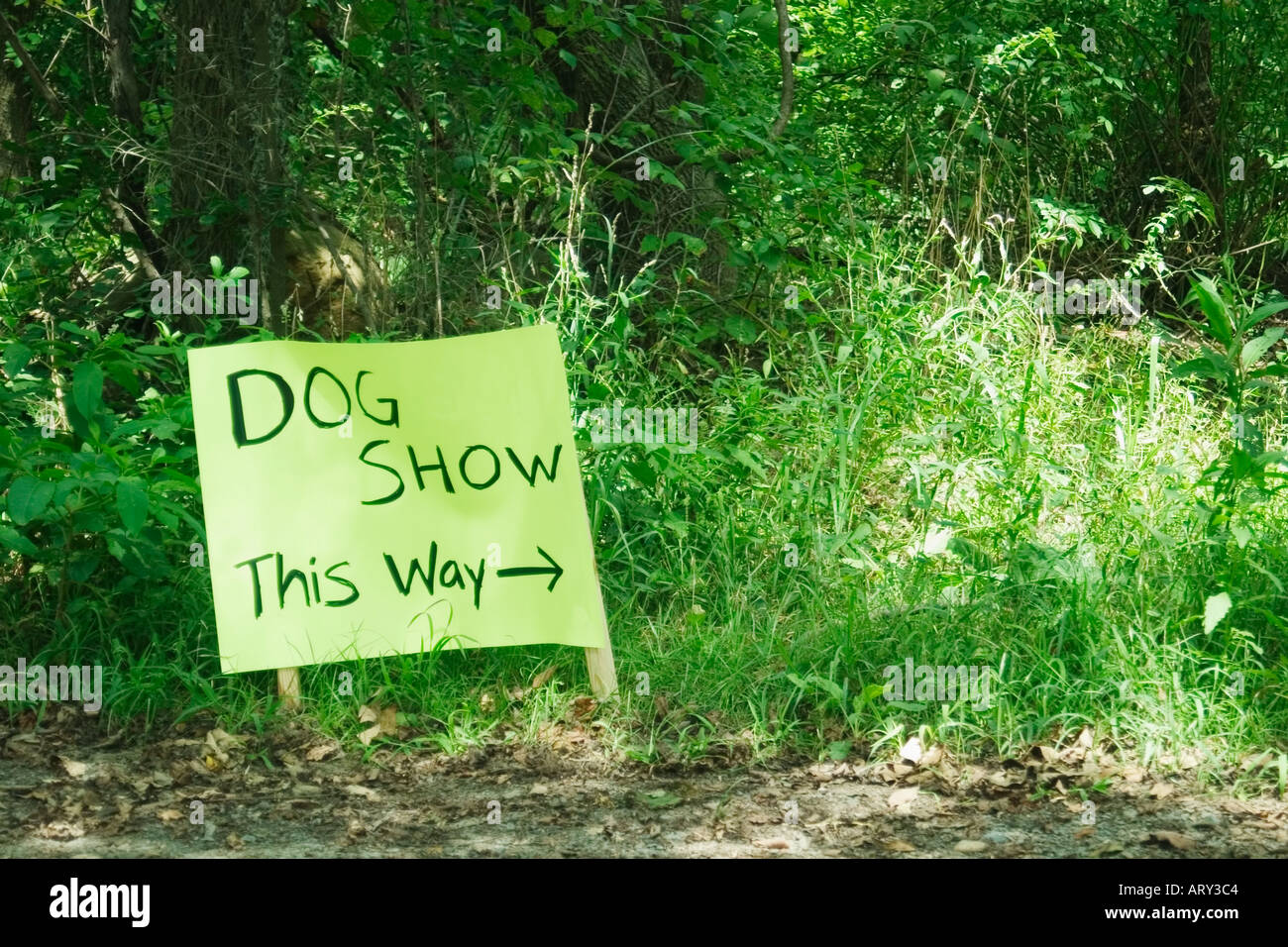 Dog show sign Stock Photo - Alamy