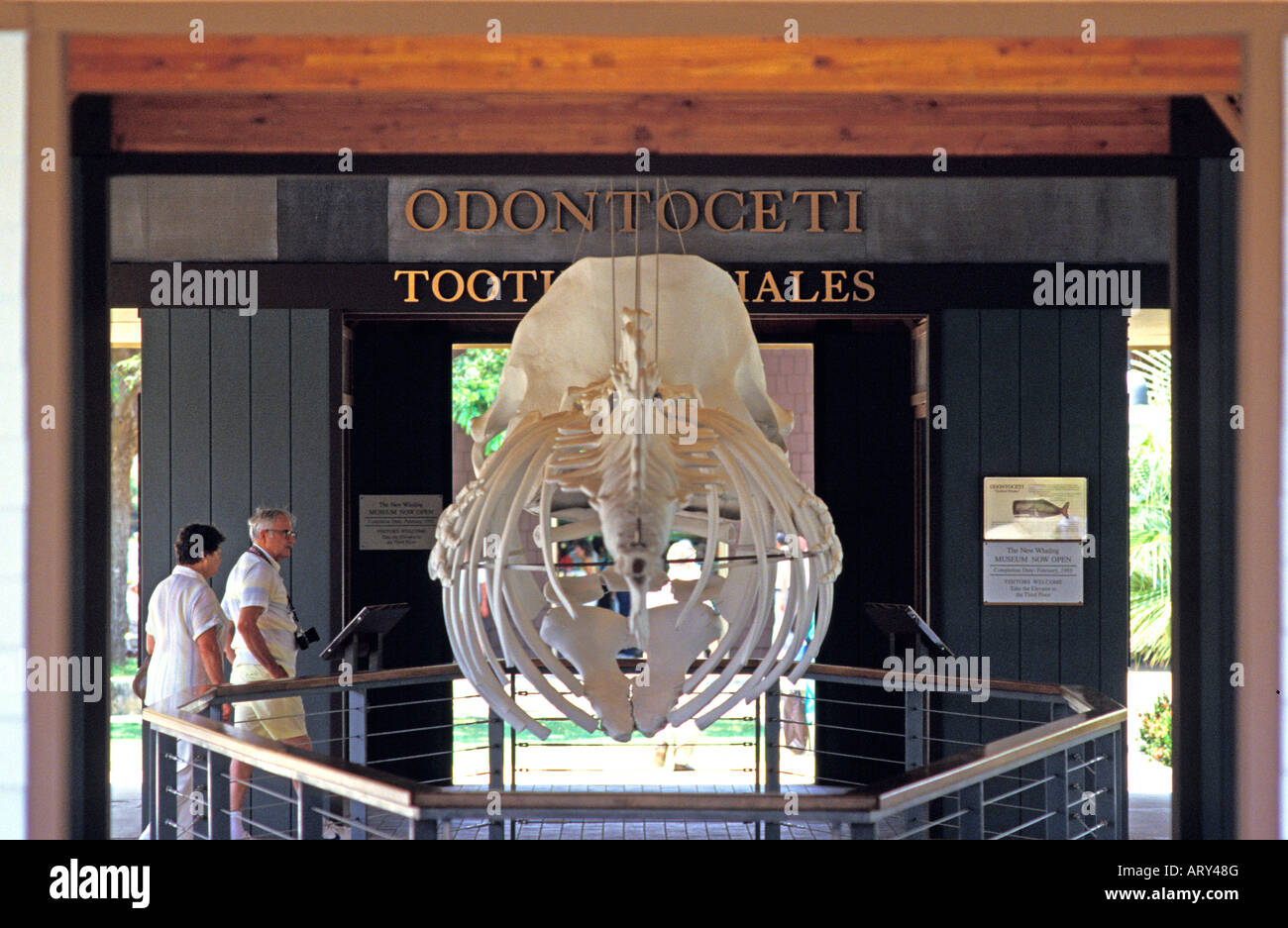 Tourists view a whale skeleton on display at Whalers Village, which is ...