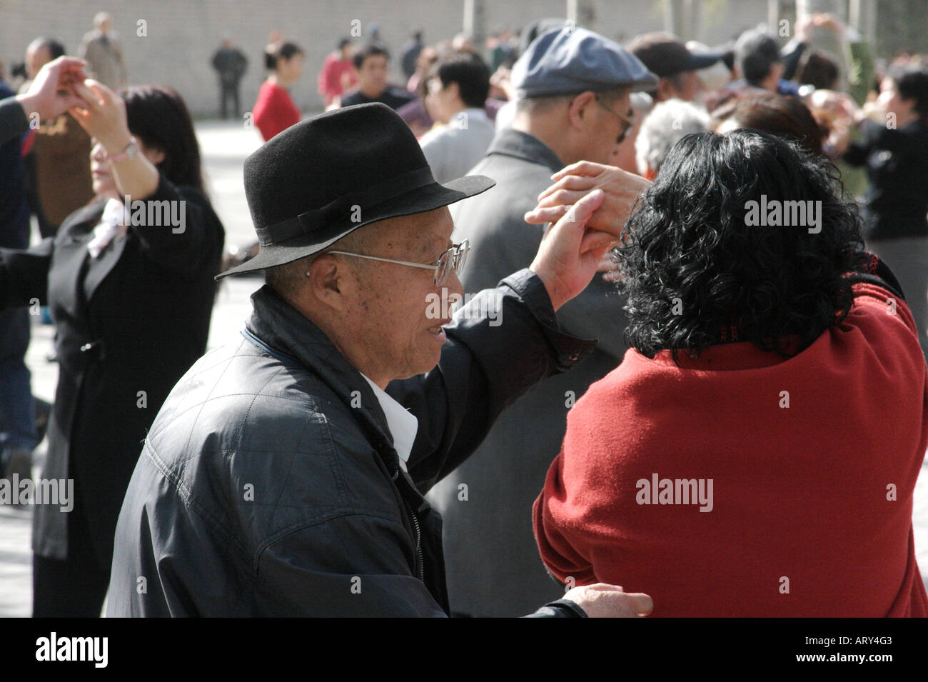 Long tan hi-res stock photography and images - Alamy