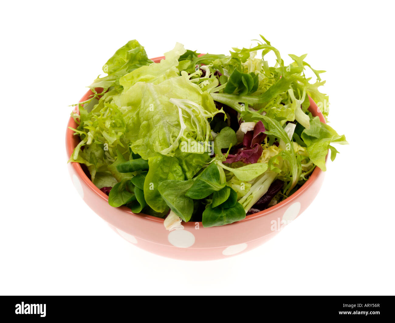 Mixed salad leaves Cut Out Stock Images & Pictures - Alamy