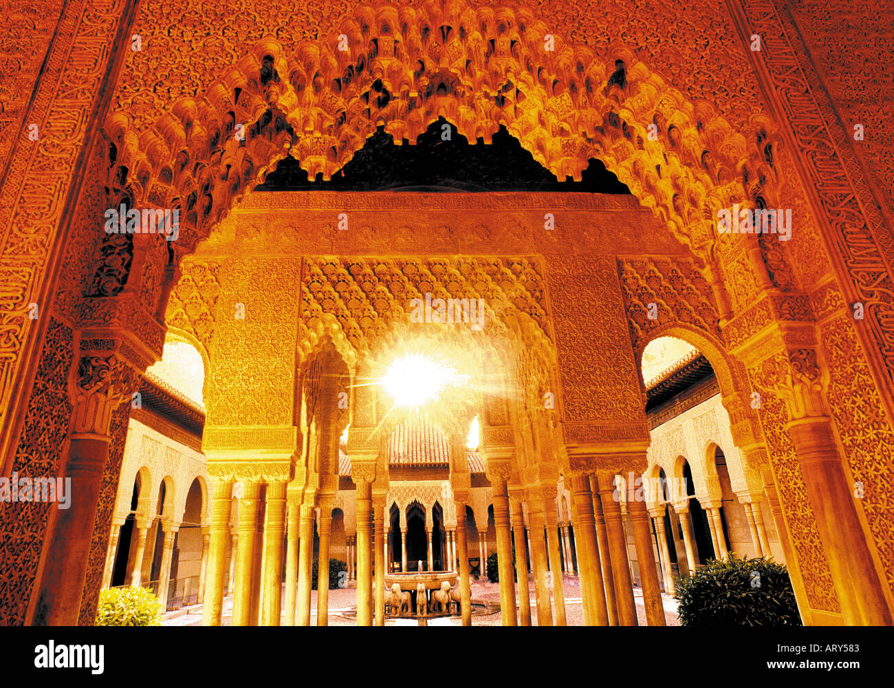 The lions court hi-res stock photography and images - Alamy