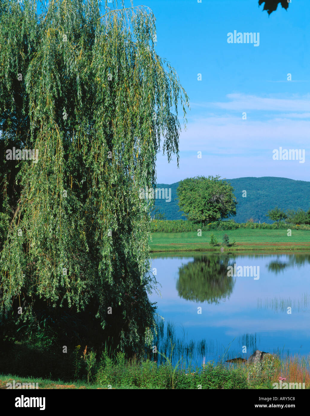 North hatley quebec hi-res stock photography and images - Alamy