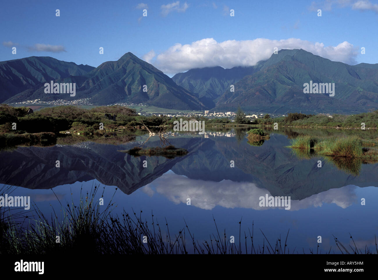 Kanaha pond hi-res stock photography and images - Alamy