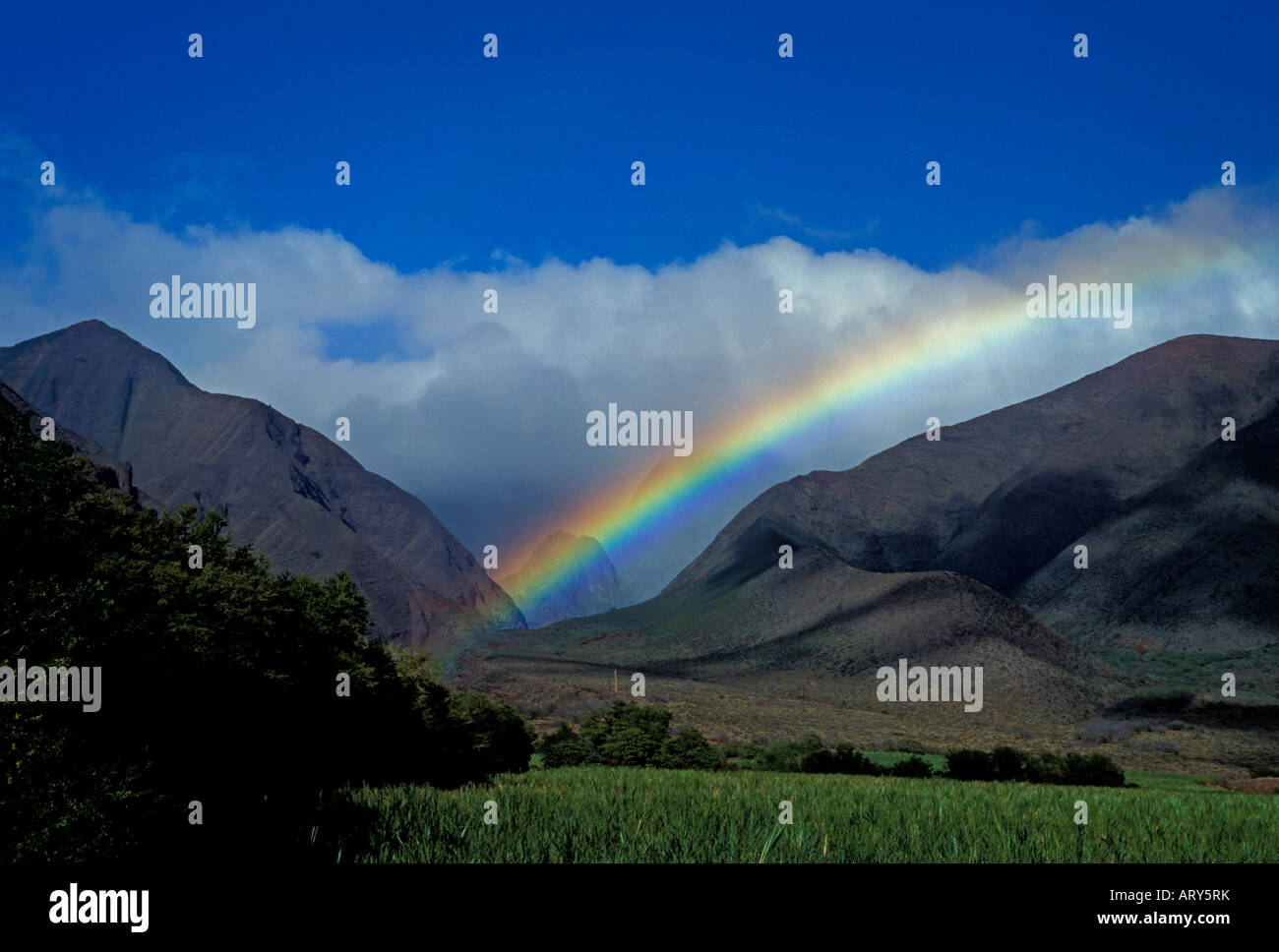 Sugar cane fields and the West Maui Mountains with a rainbow at ...