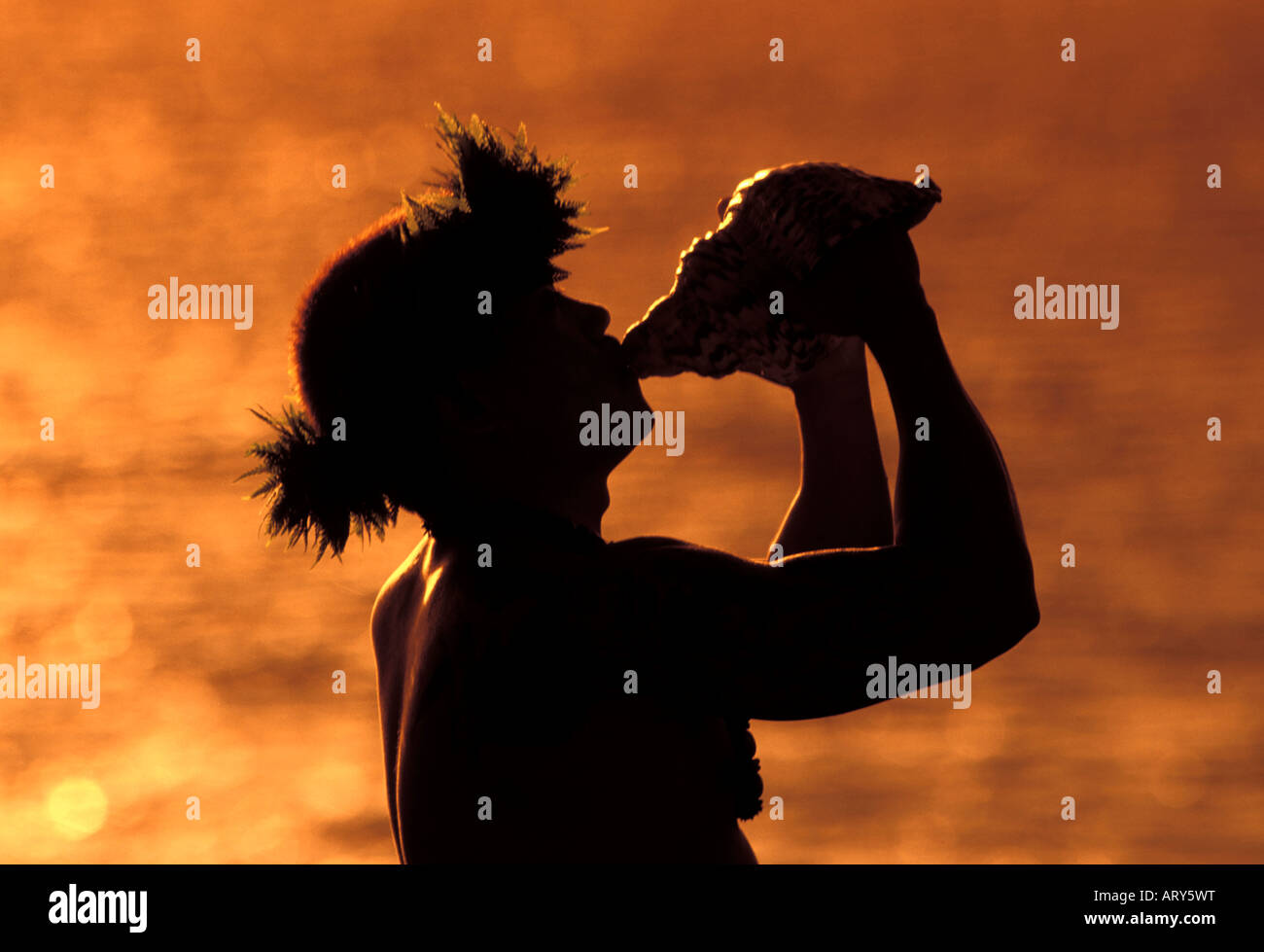 Conch blower at sunset in Kihei, maui Stock Photo - Alamy