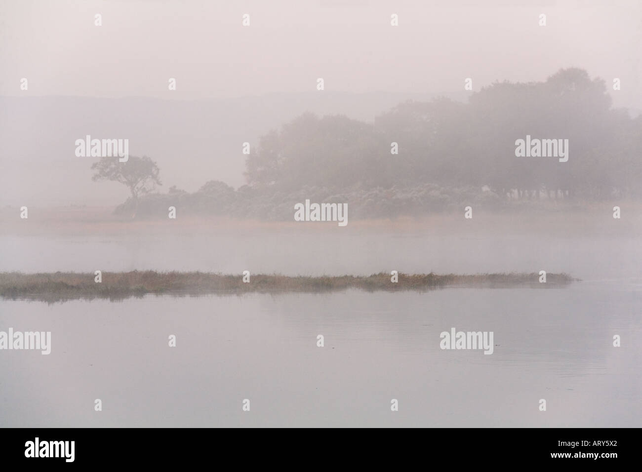 Misty morning at lochside, Lochdon, Isle of Mull, Scotland, United ...
